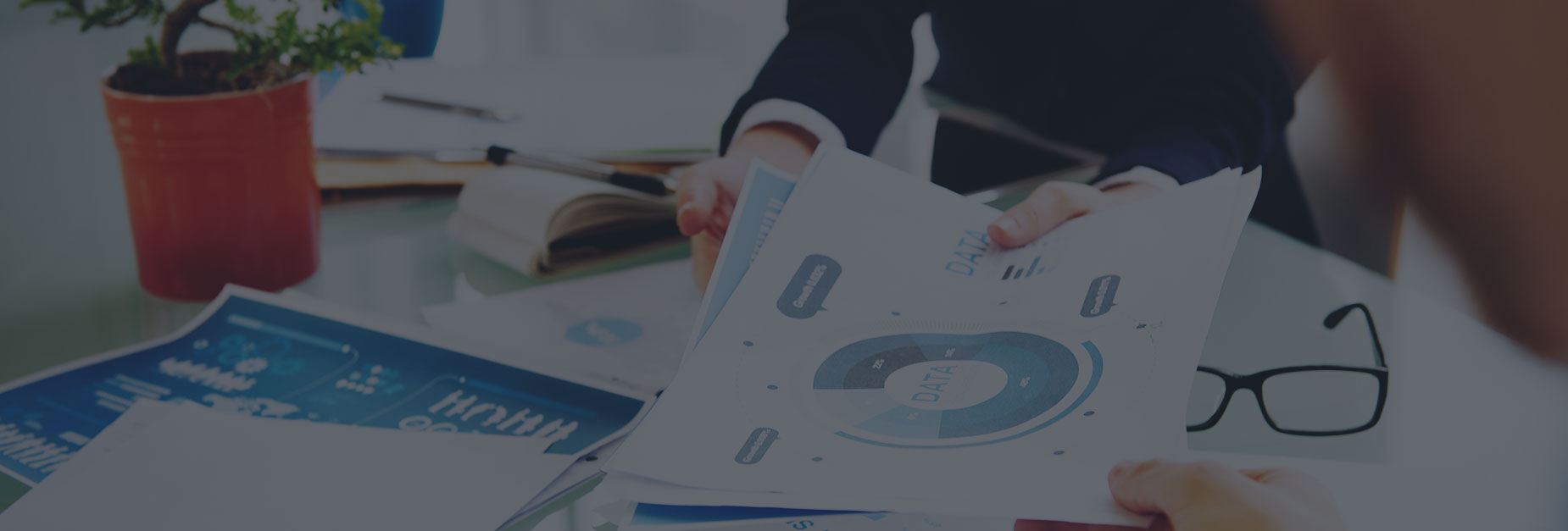 Mono Digital – Empowering Digital Growth